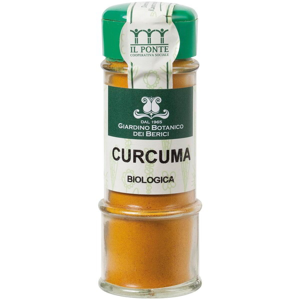 Curcuma in polvere | Acquisto Online